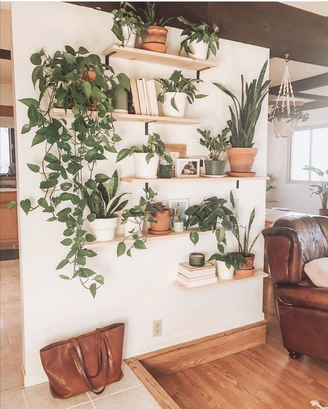Transform Your Space with Innovative Indoor Plant Wall Design Ideas.