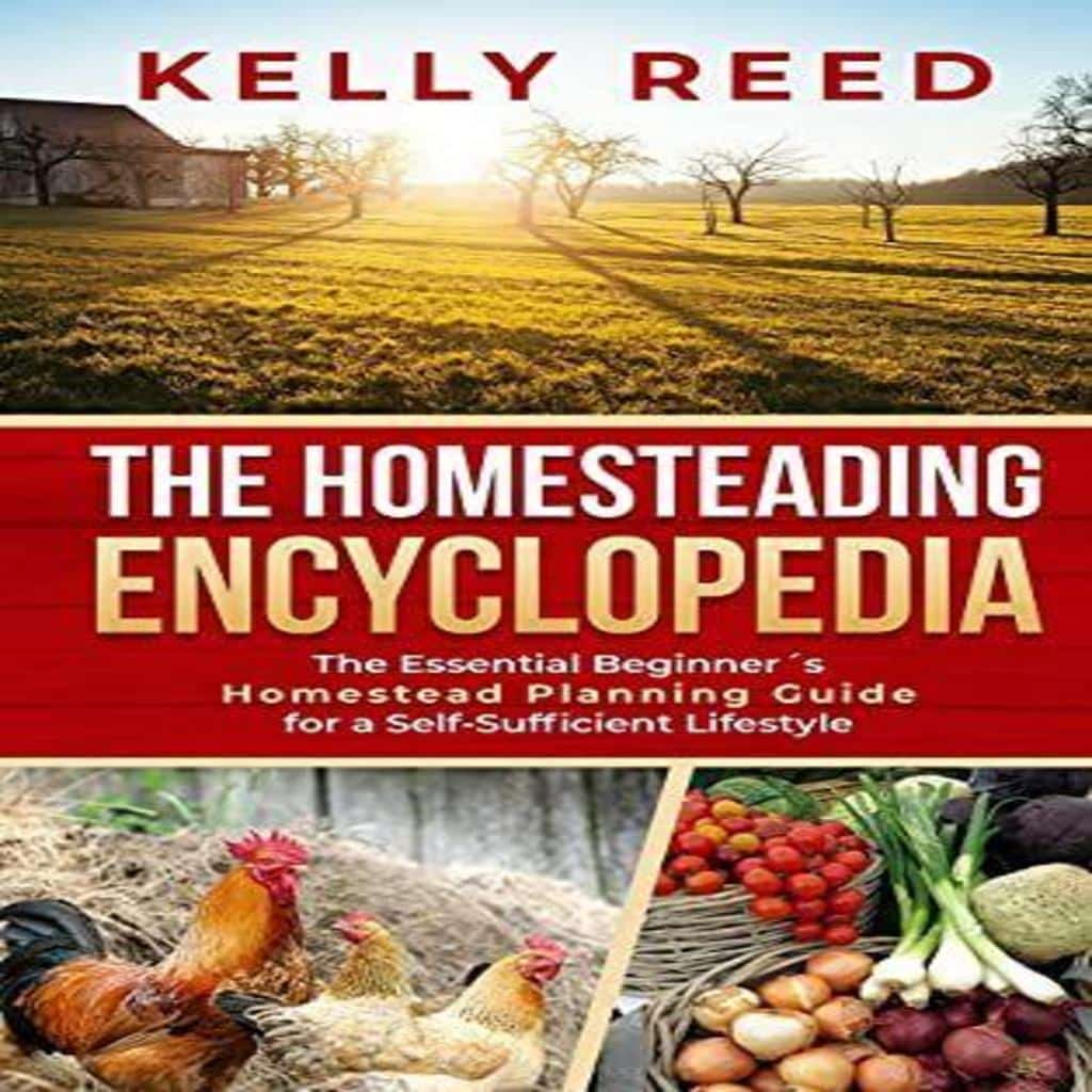 10 Inspiring Homesteading Garden Layouts for Self-Sufficiency