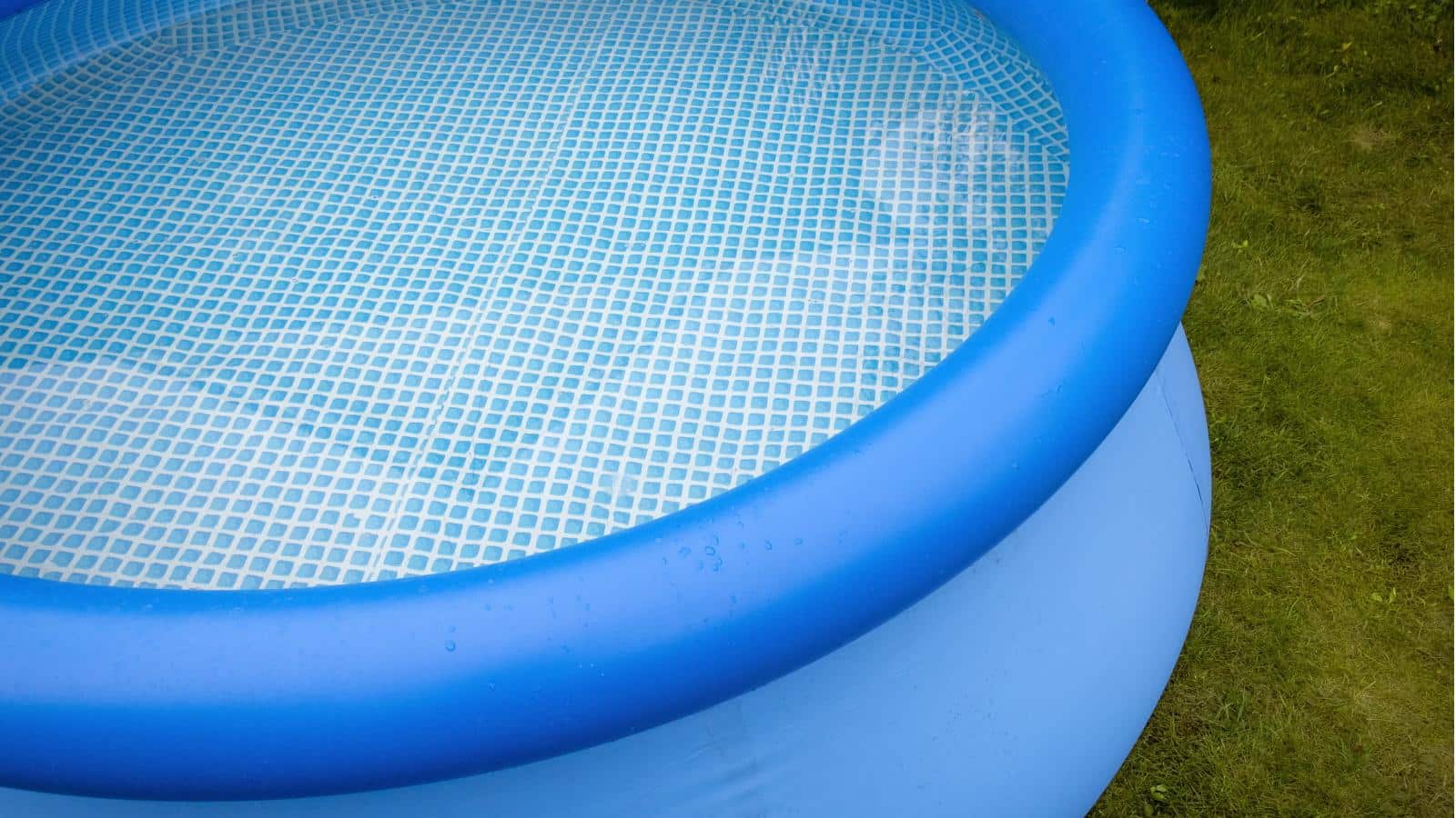 Preventing Grass Death Under Your Pool: 2024 Secrets Revealed.