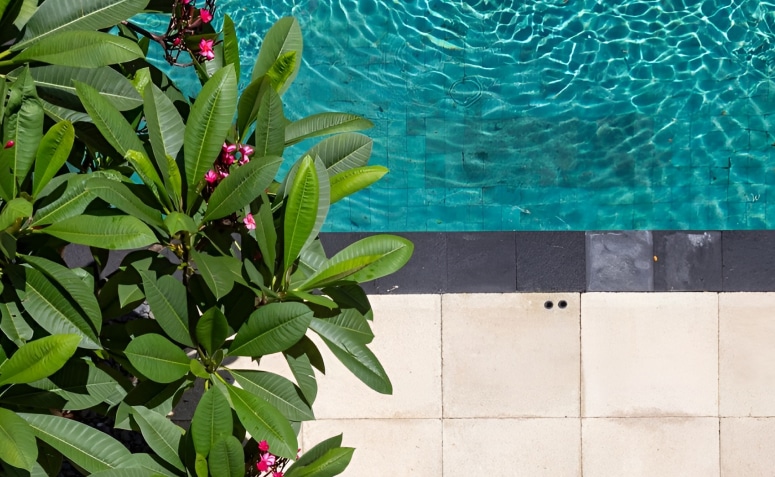 Fulget Flooring: 60 Elegant Models and Tips for Choosing